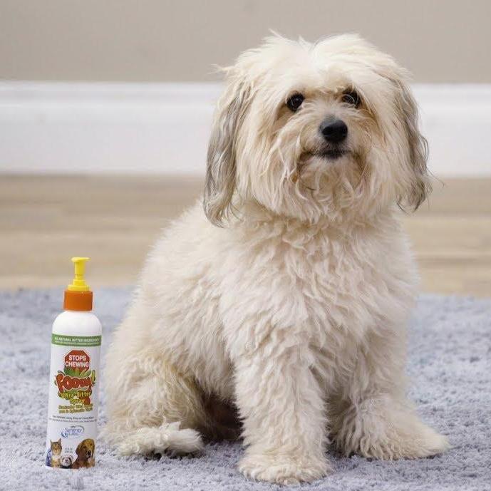 Fooey Spray สเปรย์ขมห้ามกัด สเปรย์ปรับเปลี่ยนพฤติกรรม สเปรย์หยุดฉี่ ...