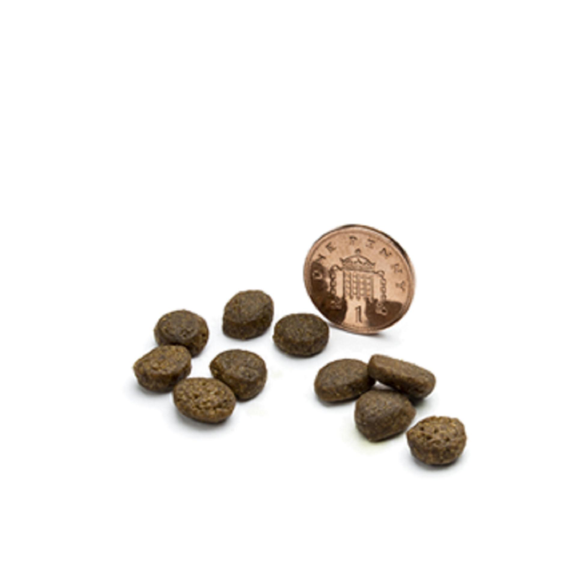 Canagan Cat Free Range Chicken 4 Kg. อาหารแมว สูตรเนื้อไก่เลี้ยงอิสระ ...