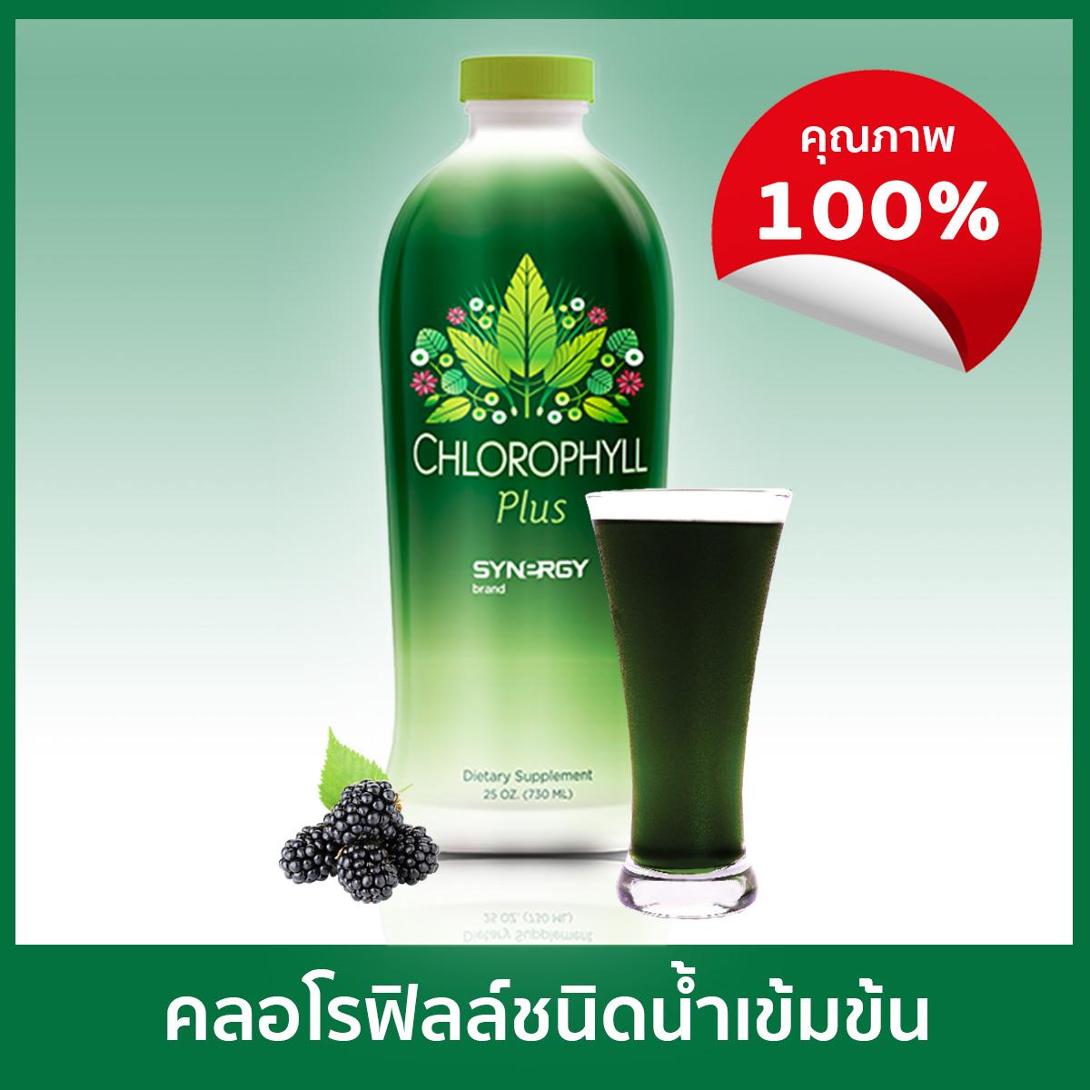 ชุดให้อาหารผู้ป่วยทางสายยาง 500 มิลลิลิตร (จำนวนถุง 1 ใบ) (สำหรับ ...