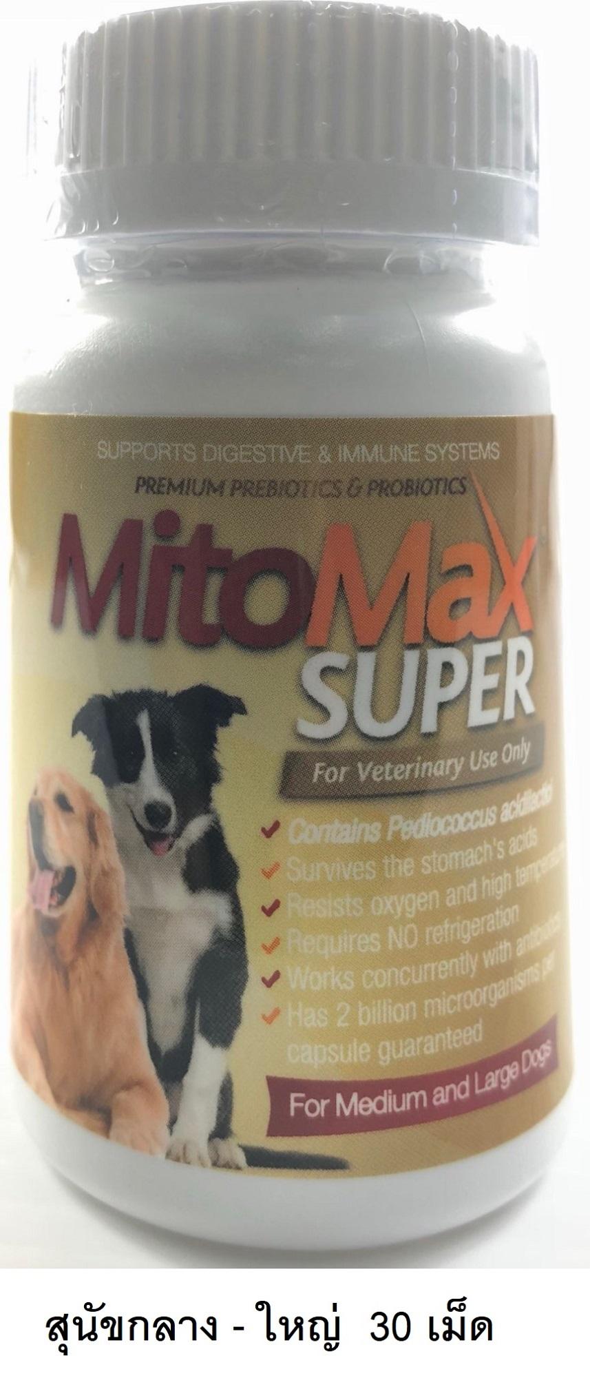 Mitomax Super medium-large dog 30caps อาหารเสริม สุนัขช่วยในระบบย่อย ...