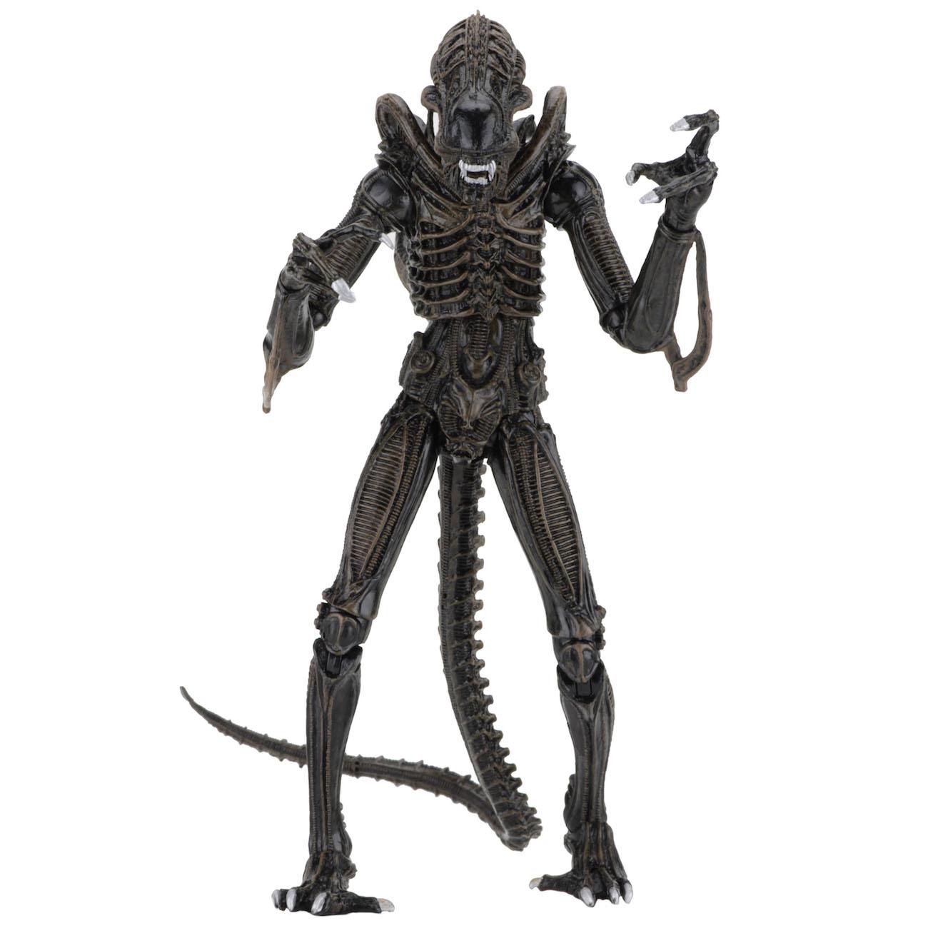 Figure Action จากหนังดังเรื่อง เอเลี่ยน Aliens Movie แอ็คชั่น ฟิกเกอร์ ...