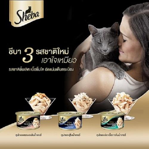 Sheba Deluxe Can อาหารเปียกแมว สูตรทูน่าฟิเลต์ในเยลลี่ สำหรับแมวทุกสาย ...