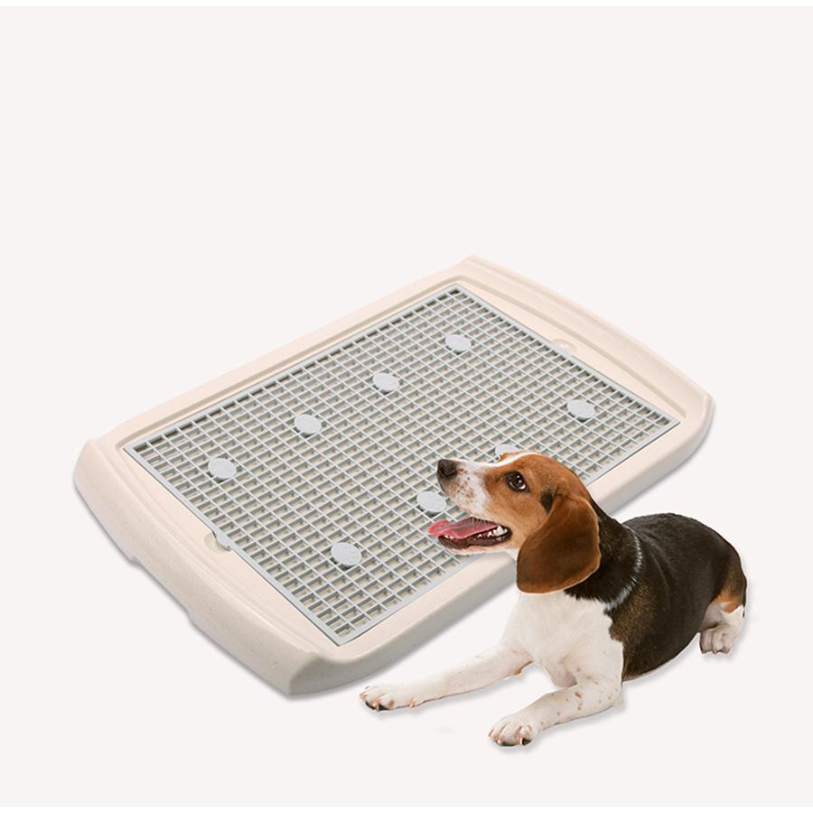 Makar Dog ห้องน้ำสุนัข ถาดรองฉี่สุนัข สำหรับสุนัขทุกสายพันธุ์ Size L ...