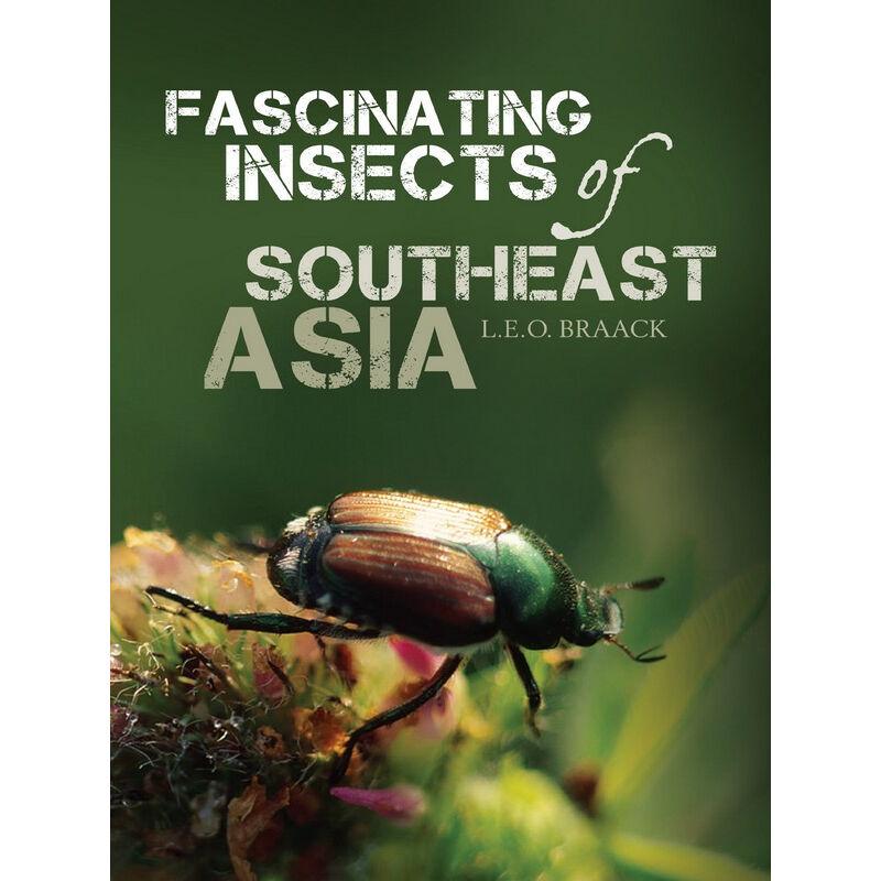 FASCINATING INSECTS OF SOUTHEAST ASIA:FASCINATING INSECTS OF SOUTHEAST ...