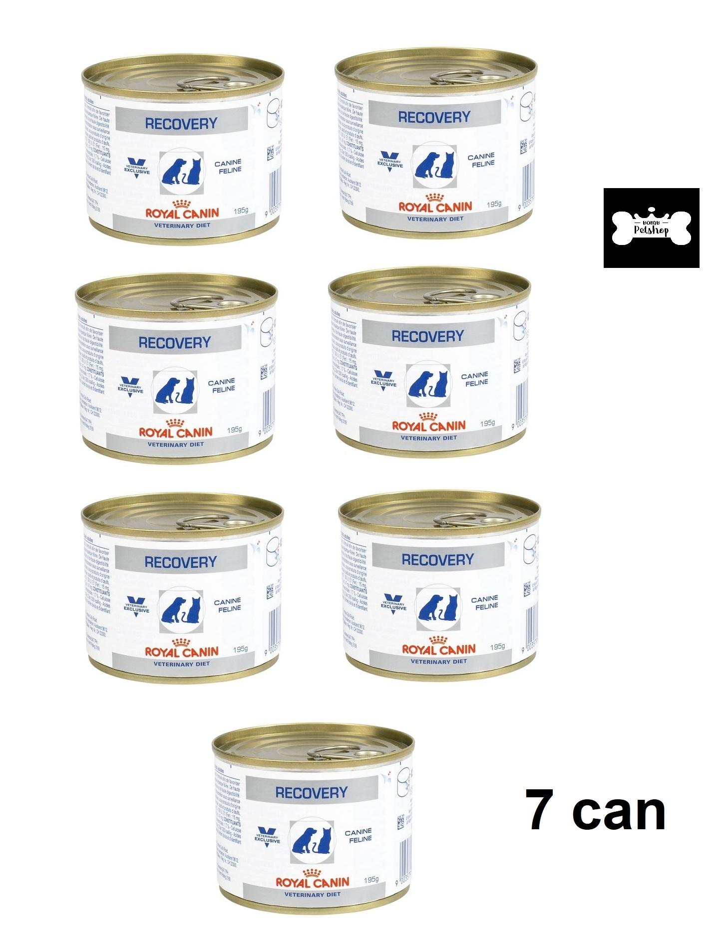 Royal Canin Recovery Cats Dogs Canned Food Feline Canine อาหารสุนัข แมว ...