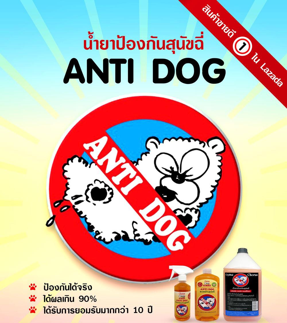 The Star Anti Dog - JE KYO.co.ltd - ThaiPick