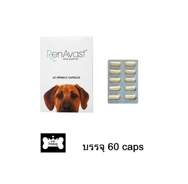 หาร้านที่ขาย Renavast for dog อาหารเสริมโปรตีน สำหรับสุนัข อายุ 1 ปี ...