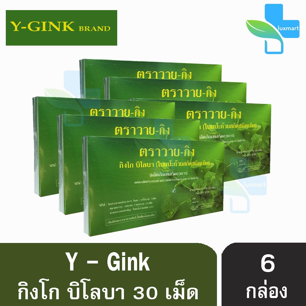 Y-Gink 12 กล่อง วาย กิง ใบแป๊ะก๊วยสกัด (30 เม็ด x12) - SBC Healthy ...