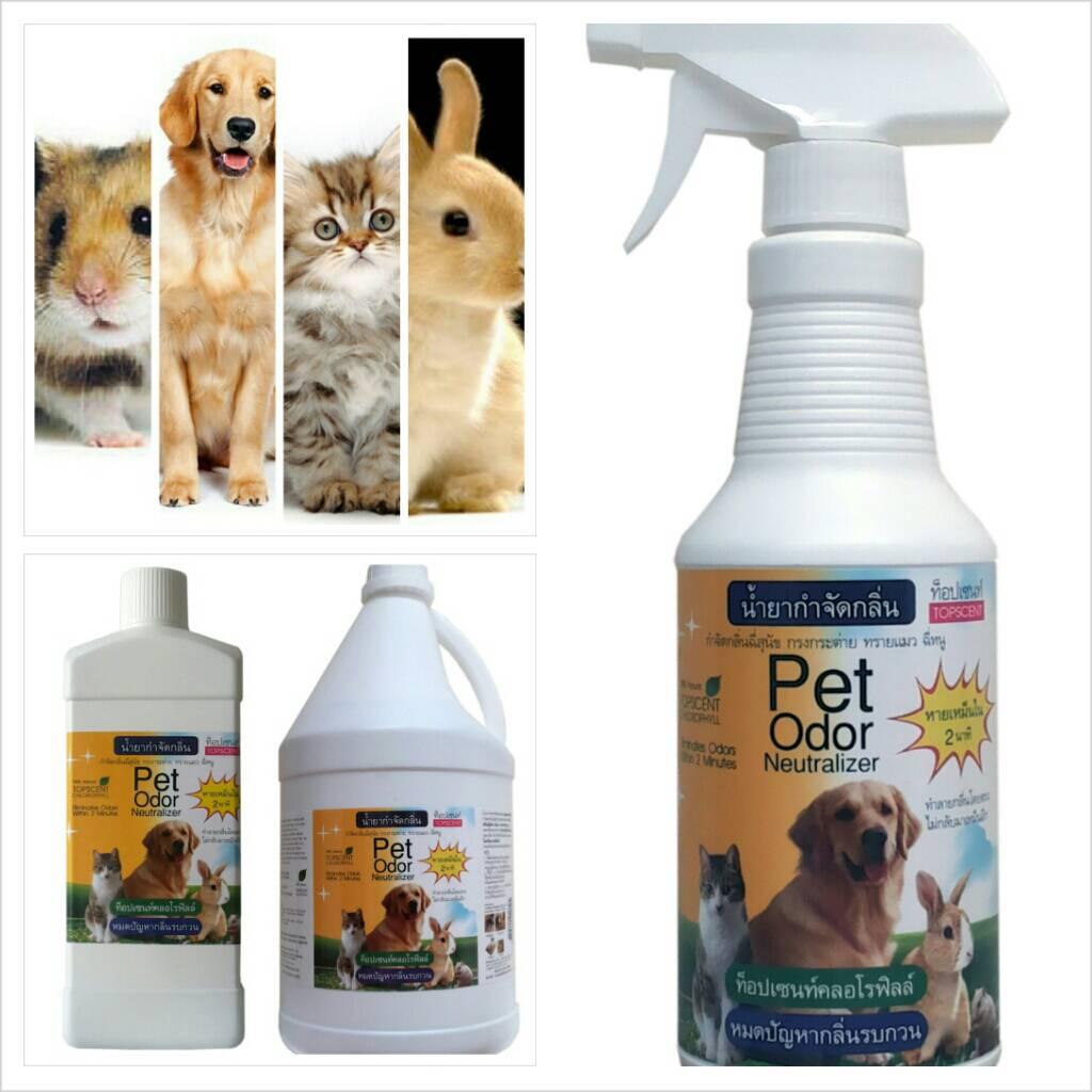 Great Value Pet Odor Eliminator at Kellie Jackson blog