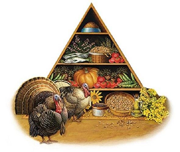 Pinnacle Turkey & Pumpkin 1.8 Kg. อาหารสุนัข สูตรไก่งวงและฟักทอง บำรุง ...