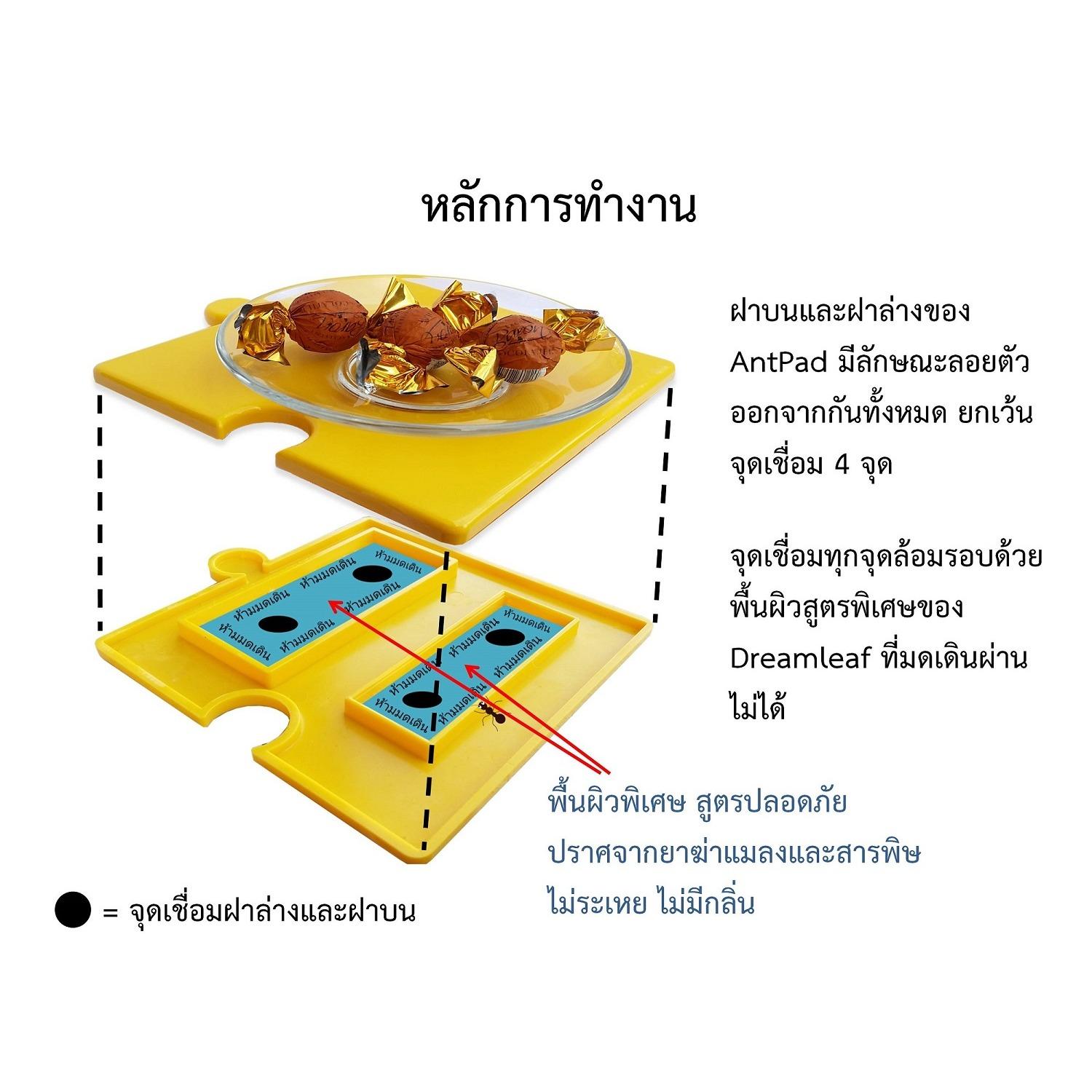 Dreamleaf แผ่นรองกันมด AntPad สีเหลือง 4 แผ่น - Dreamleaf - ThaiPick
