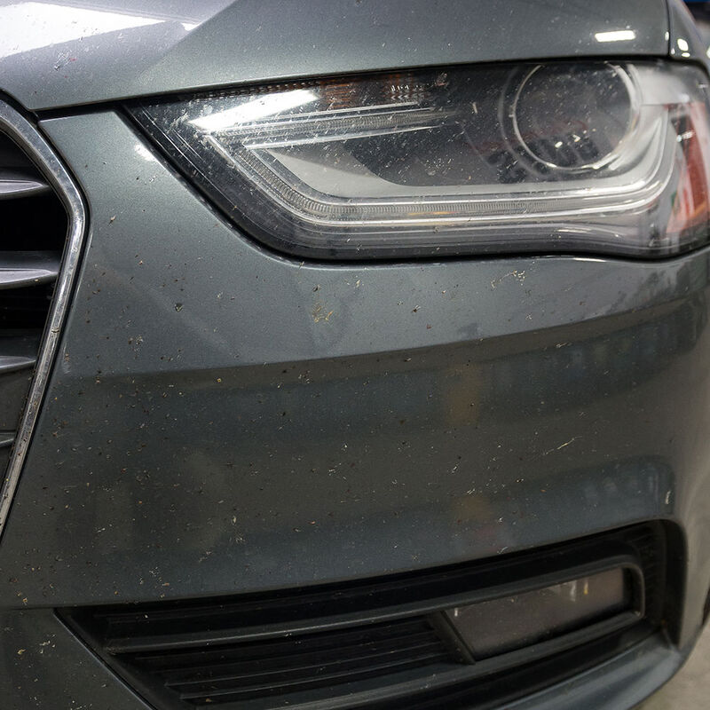 Bug & Tar Wash แชมพูล้างรถขจัดคราบแมลง (ขวดแท้) - DetailingGoodies ...