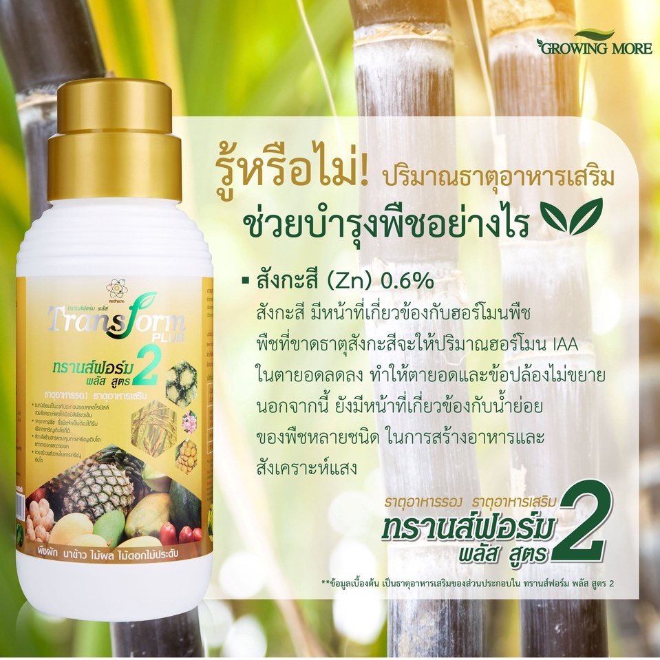 TRANSFORM PLUS 2 ธาตุอาหารรองและธาตุอาหารเสริมพืช ประกอบด้วยธาตุอาหารหลายชนิดที่มีประโยชน์ต่อพืช ...