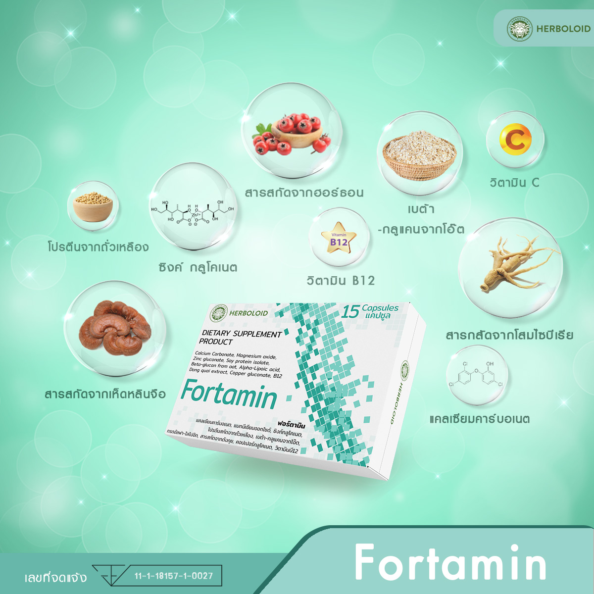 FORTAMIN Herboloid ผลิตภัณฑ์บำรุงกระดูก และข้อต่อ - 6 แถม 3 - Herboloid ...