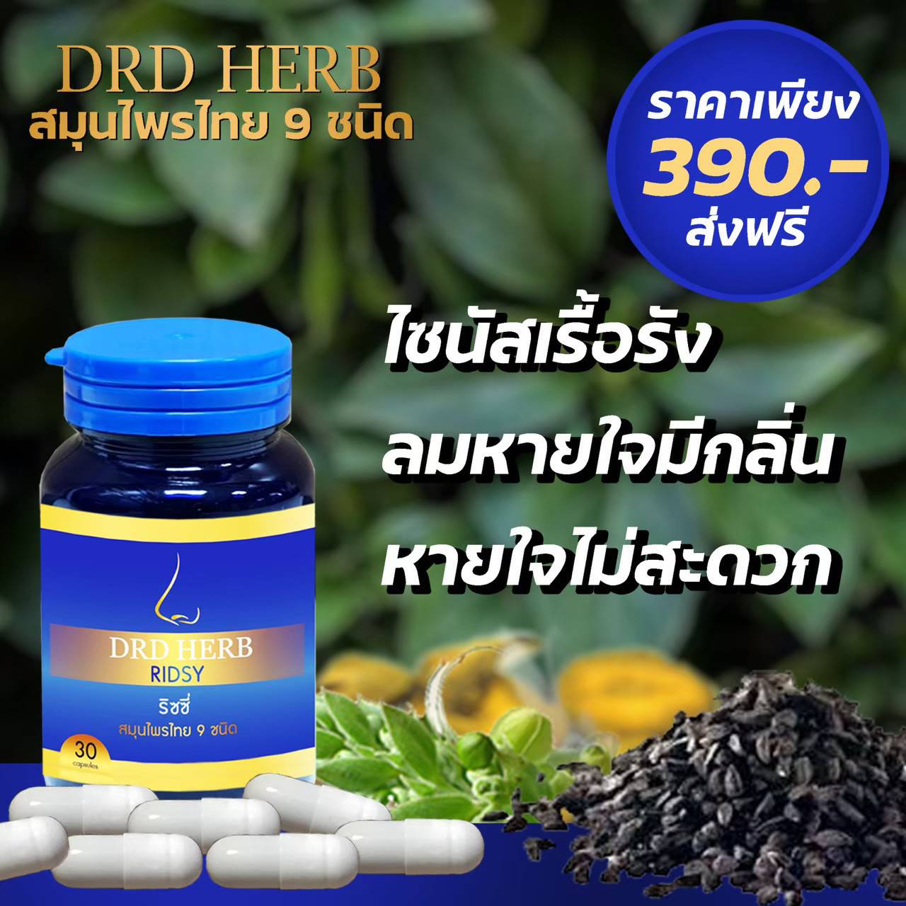 สั่งเลย 1กระปุก 💥ส่งฟรี ไซนัส ภูมิแพ้ ไอ จาม หวัดเรื้อรัง บำรุงด้วย ริดซี่ สมุนไพร9ชนิด DRD HERB ...