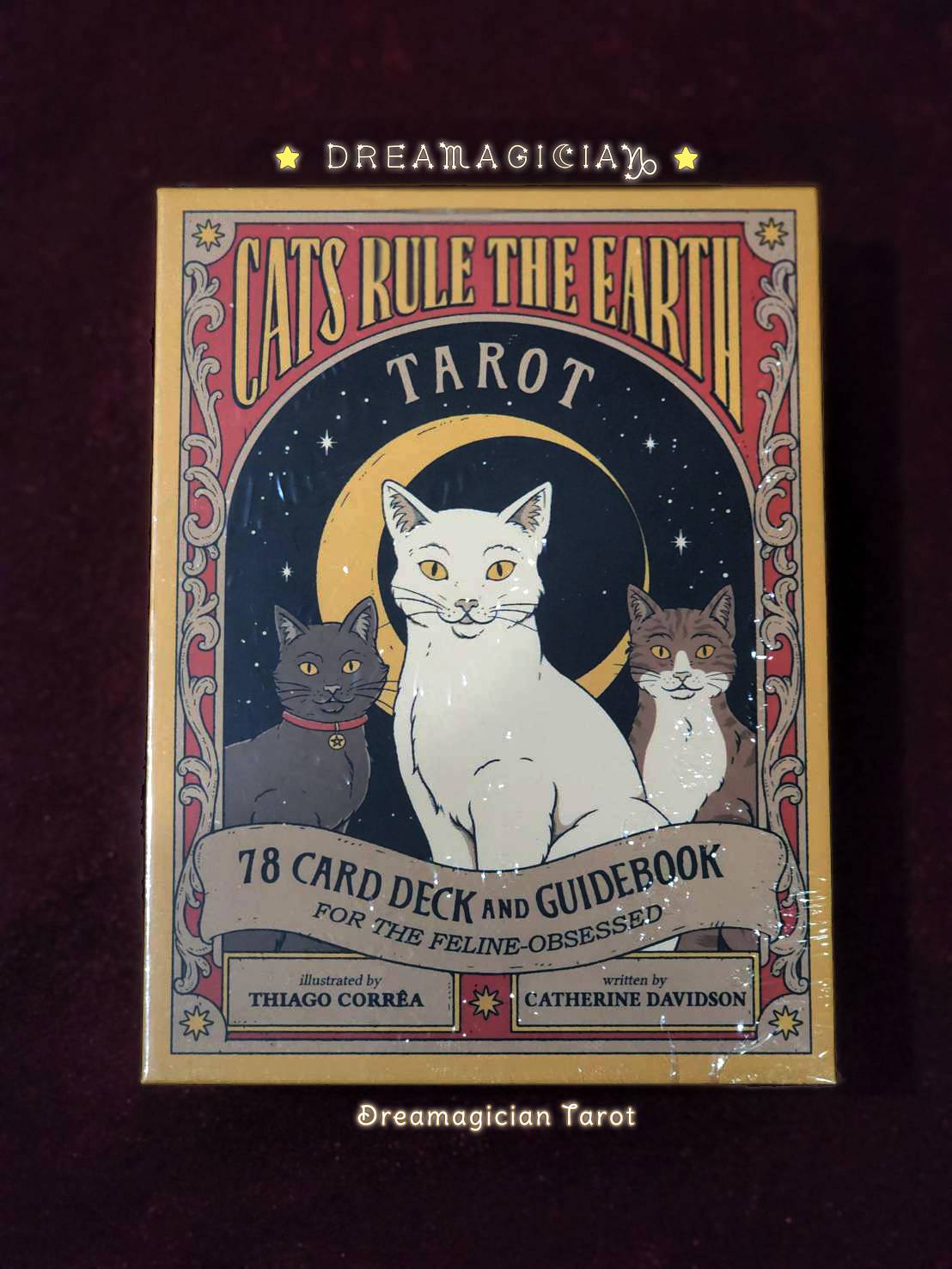 Cats Rule the Earth Tarot ไพ่ยิปซีแท้ลดราคา/ ไพ่ยิปซี/ ไพ่ทาโร่ต์/ ไพ่ ...