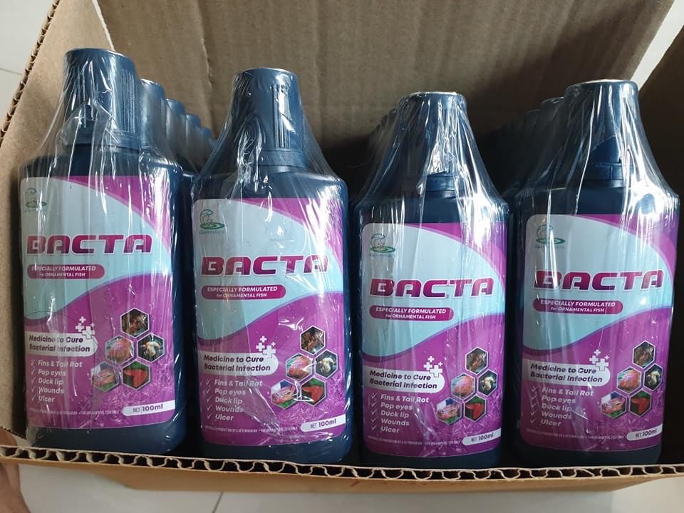 Bacta Anti-Biotic 100mL - รักษาอาการติดเชื้อแบคทีเรีย ในปลาสวยงาม ปาก ...