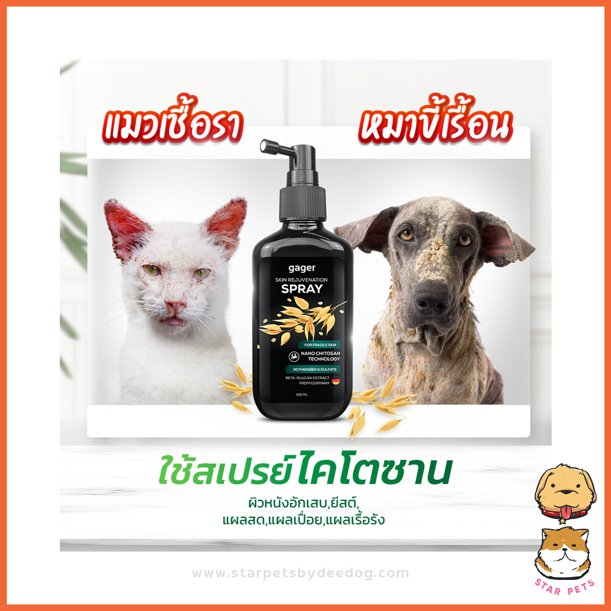 Gager (กาเจอร์) แชมพูขี้เรื้อน สเปรย์นาโนไคโตซานเบต้า กลูแคน เชื้อรา ...