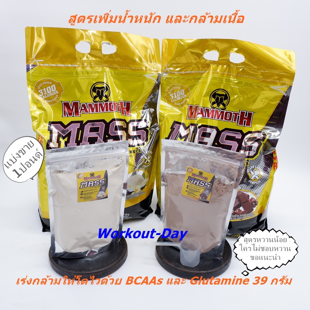 เวย์โปรตีนเพิ่มน้ำหนัก Mammoth mass แบ่งขาย1ปอนด์ - Workout-Day - ThaiPick