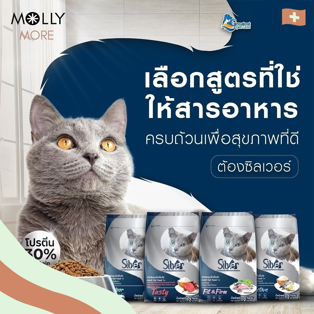 MOLLY Silver ซิลเวอร์ อาหารแมว ชนิดเม็ด เกรดพรีเมี่ยม โซเดียมต่ำ ขนสวย ...