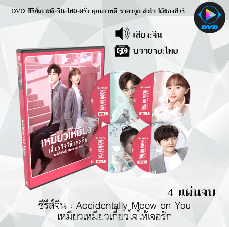 DVD ซีรีส์จีน Accidentally Meow on You เหมียวเหมียวเกี่ยวใจให้เจอรัก : 4 แผ่นจบ (ซับไทย ...