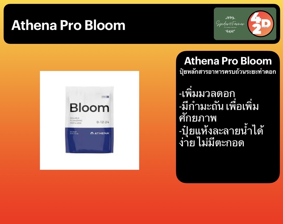 [ส่งฟรี] Athena Pro Bloom ปุ๋ยบำรุงใบและลำต้น เพื่อต้นที่แข็งแรงพร้อมทำ ...