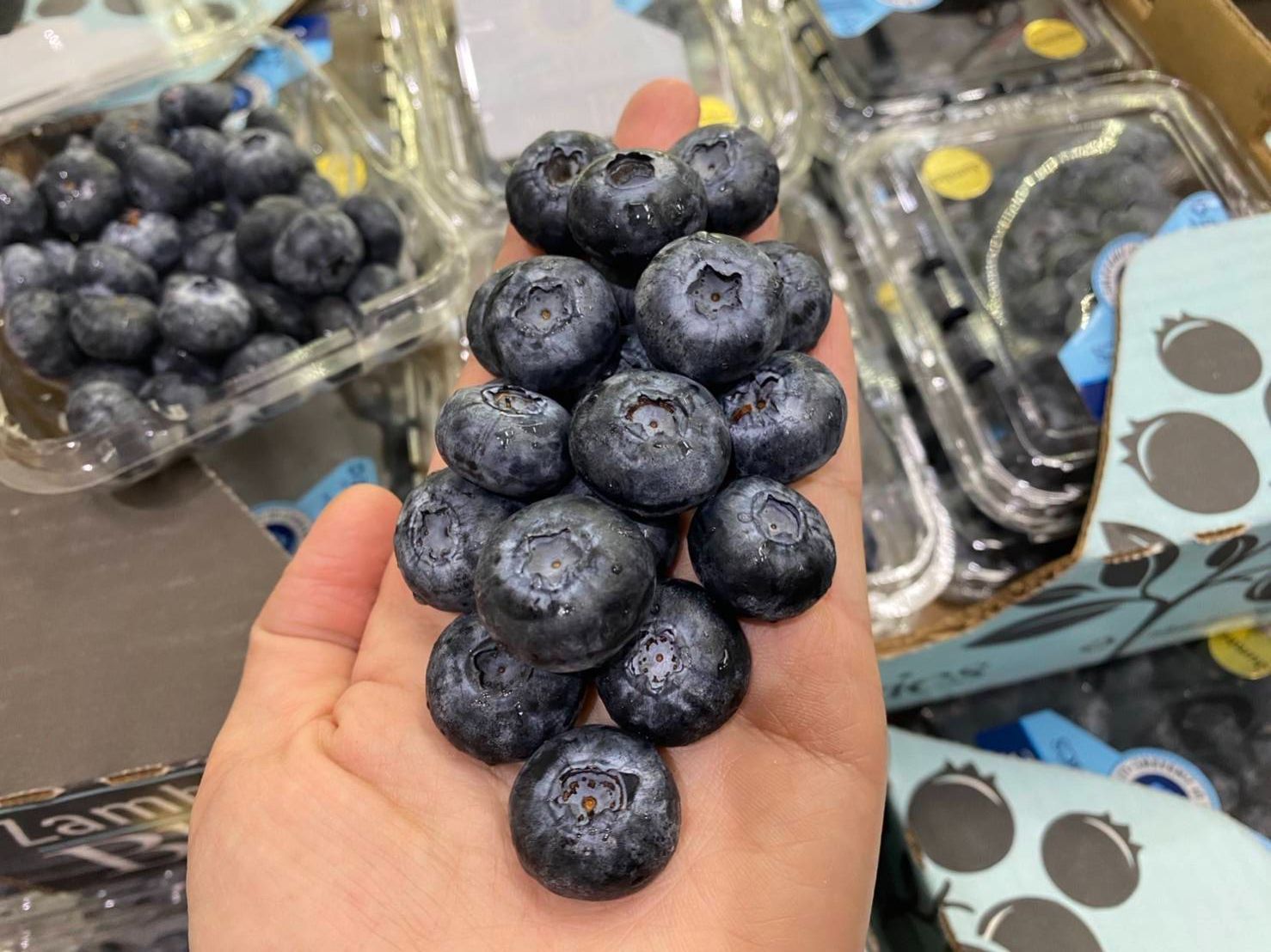 บลูเบอร์รี่ ซุปเปอร์ จัมโบ้ Boom berry มี 6 แพค - Fruit_Villa - ThaiPick