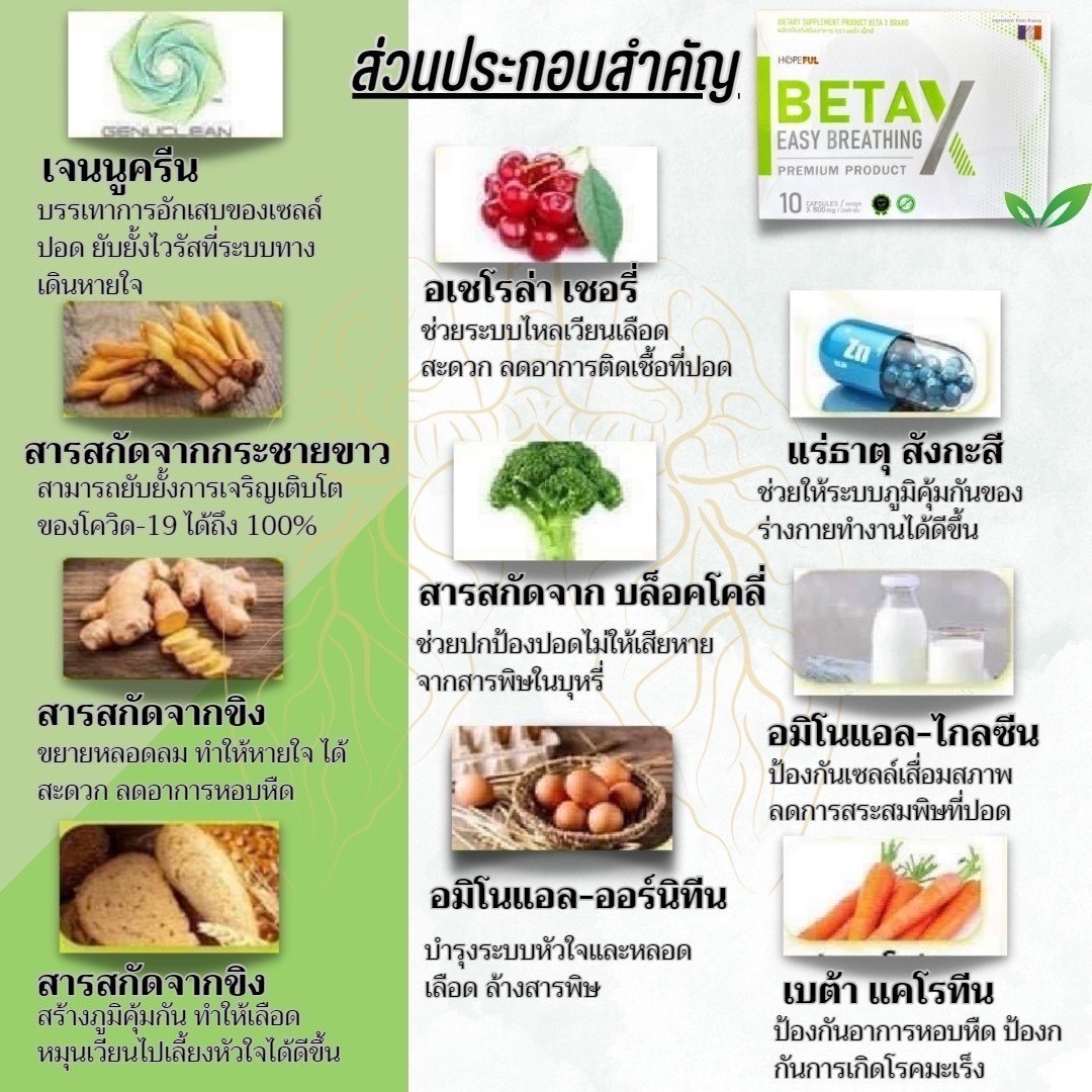 beta-x เบต้าเอ็กซ์ BetaX บำรุงปอด กระชายขาวสกัด พร้อมส่ง ของแท้จากบริษัท ส่งฟรีทั่วไทย ผลิตภัณฑ์ ...