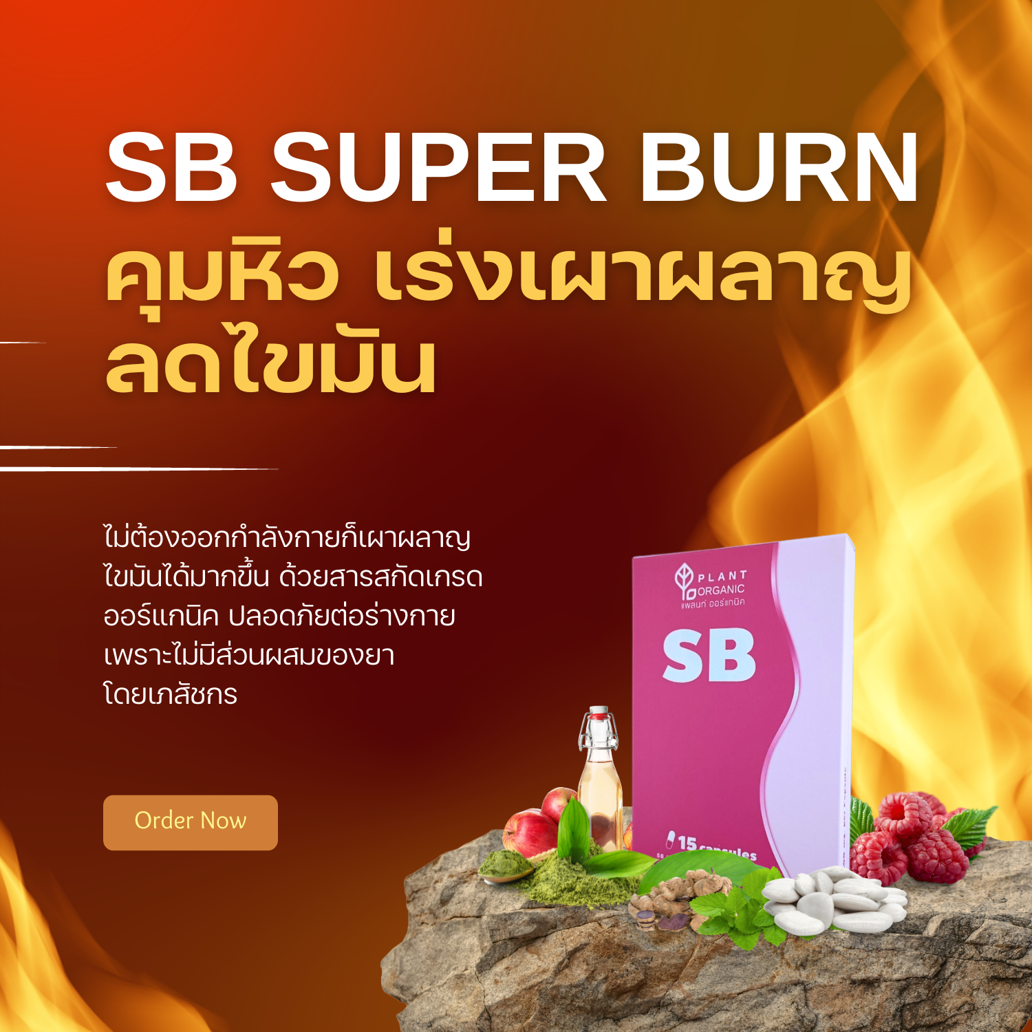 SB Super Burn คุมหิวอิ่มนาน เผาผลาญไขมัน ลดน้ำหนักอย่างปลอดภัย ดูแลโดย ...