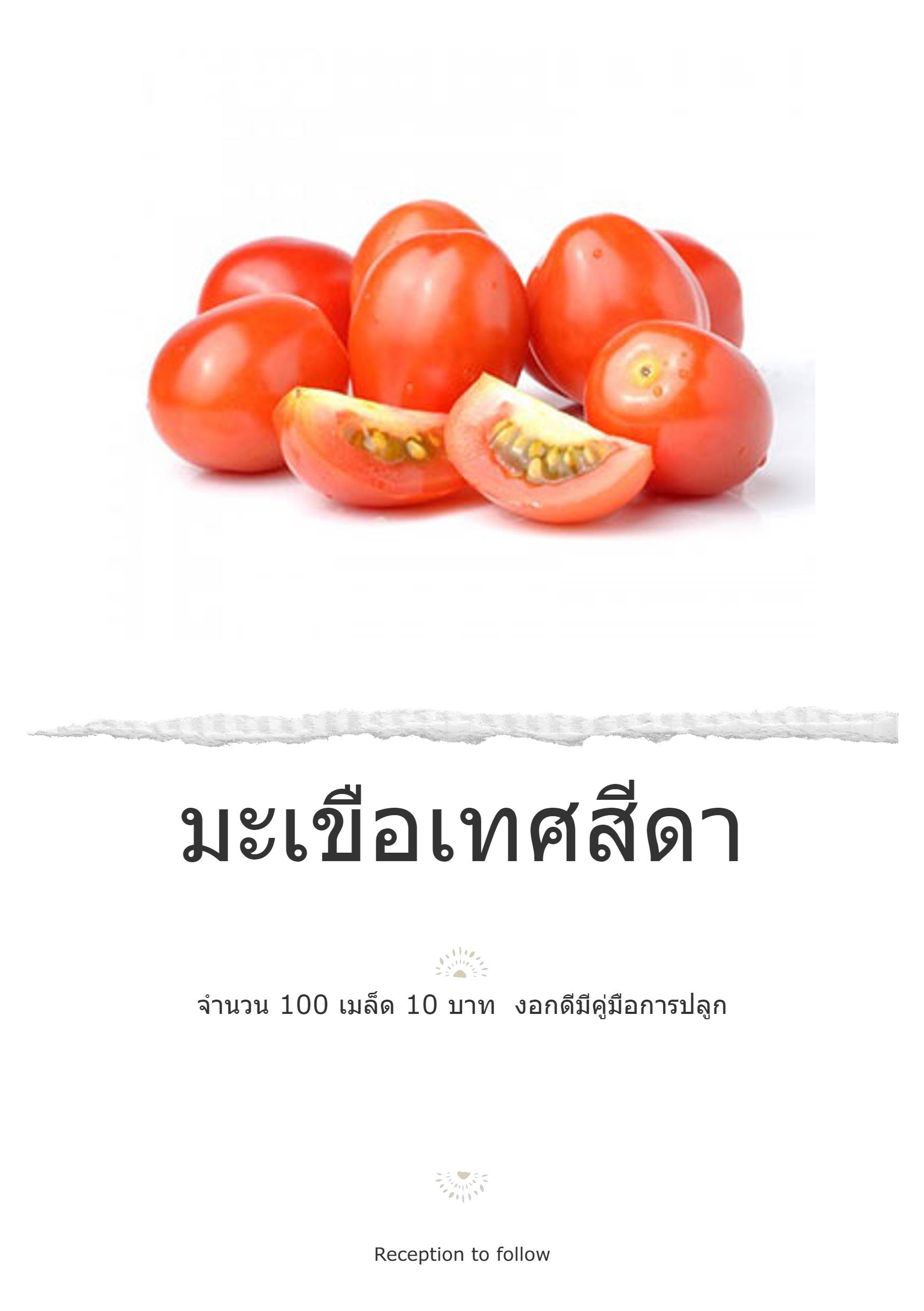 🌱เมล็ดพันธุ์ผัก มะเขือเทศสีดา พันธุ์พื้นบ้านจำนวน 10 บาท 10 แถม 1 คละ ...