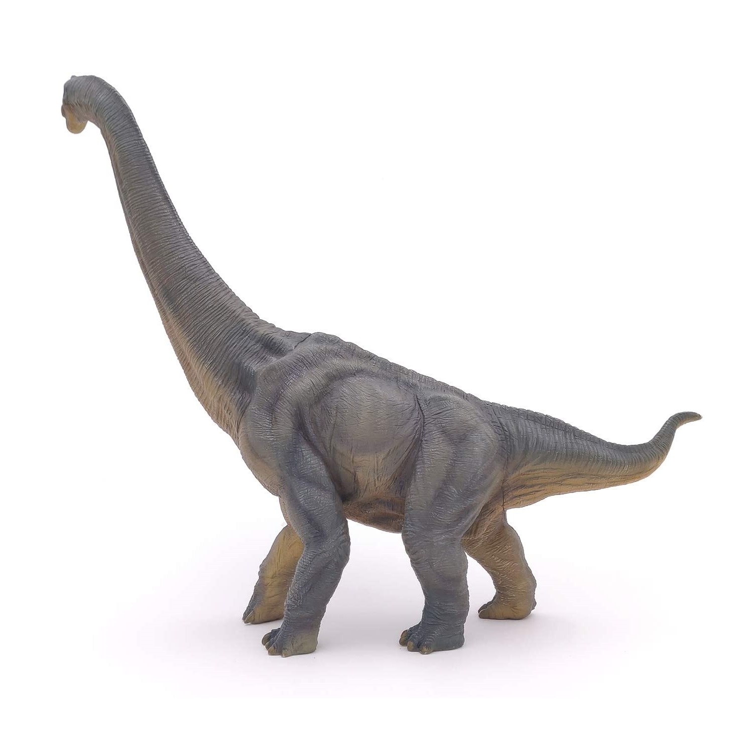 Papo PPO55030 โมเดลไดโนเสาร์ Brachiosaurus - Tadee - ThaiPick
