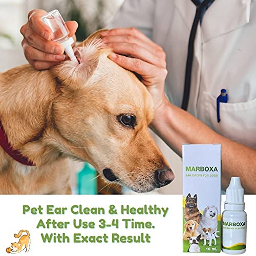 Marboxa ear drop for dog 10 ml.ยาหยอดหู ลดอักเสบ ฆ่าเชื้อ สำหรับสุนัข10 ...