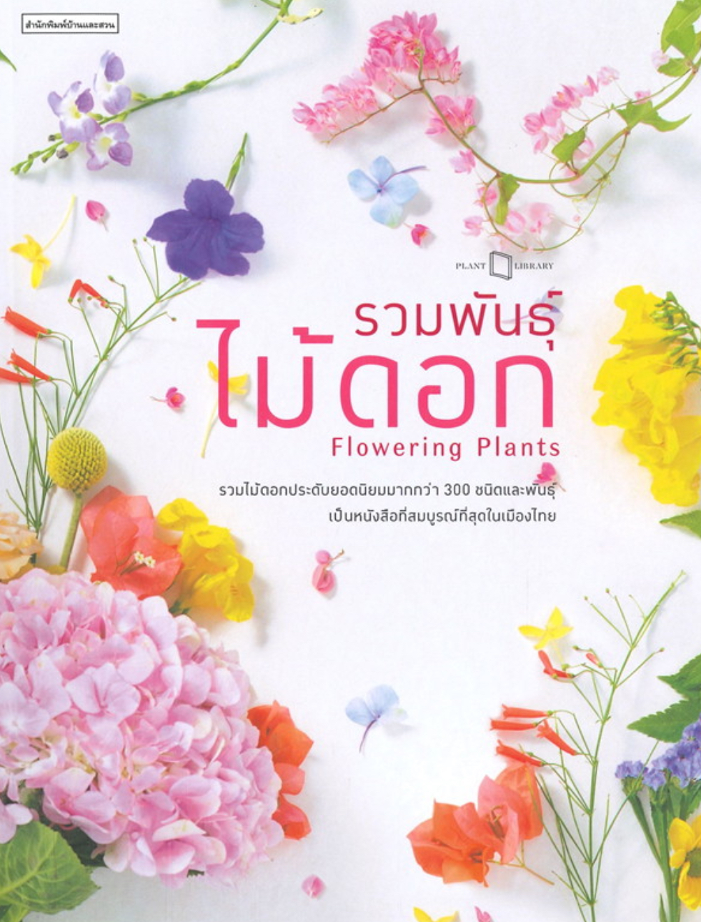 รวมพันธุ์ไม้ดอก Flowering Plants - PATCHA Store - ThaiPick