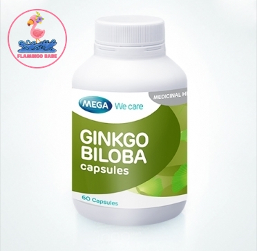 Mega We Care Ginkgo Biloba 60 Capsules เมก้า วีแคร์ จิงโก บิโลบา สาร ...