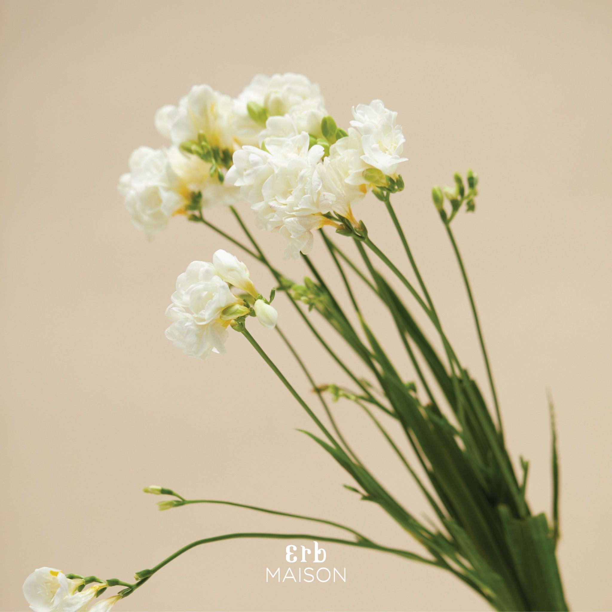 Erb Maison Fleurfume Reed Diffuser Dazzling Spring 200 ml. เอิบ ก้านไม้ ...