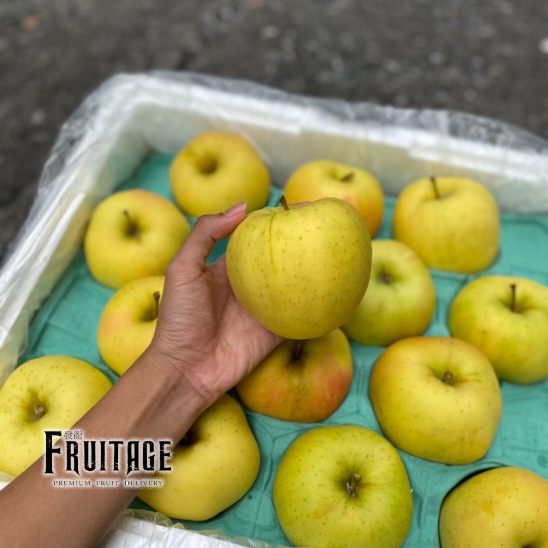 แอปเปิ้ลโทกิ (แอปเปิ้ลโอริน(1ลูก)Japanese Green Orin Apple オリン)หอมละ ...