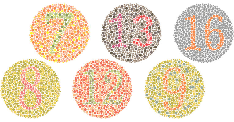 Color Blindness Tests (24 A4 Sheets)with Manual - SCI TRADER - ThaiPick