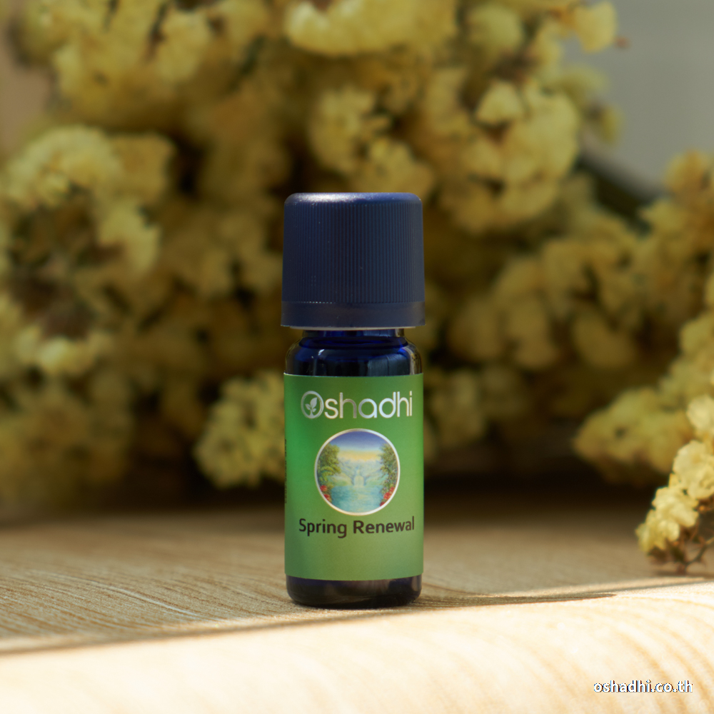 Oshadhi Spring Renewal Synergy - essential oil blend 10 ml - Oshadhi - ThaiPick