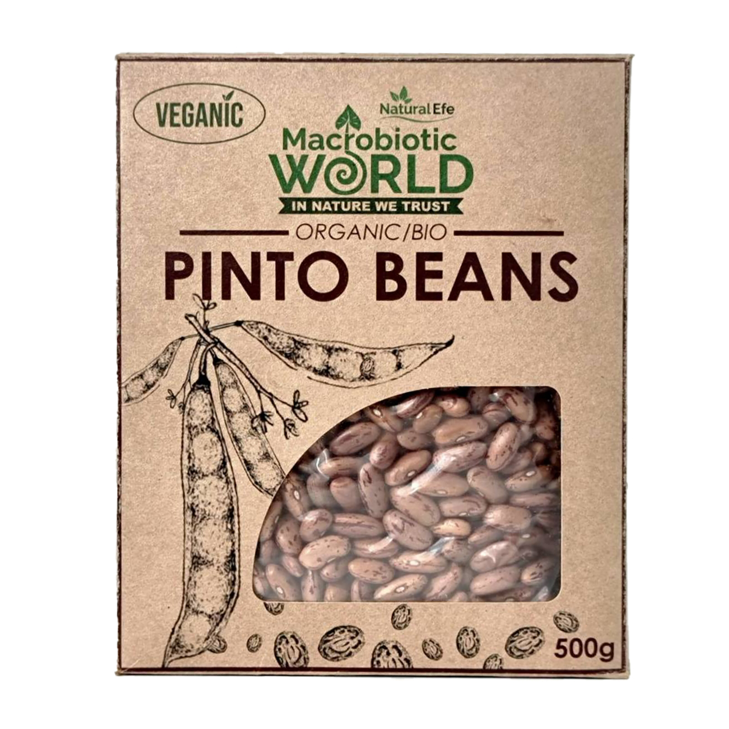 Organic/Bio Seeds / Pinto Beans | ถั่วปินโต | Lazada.co.th