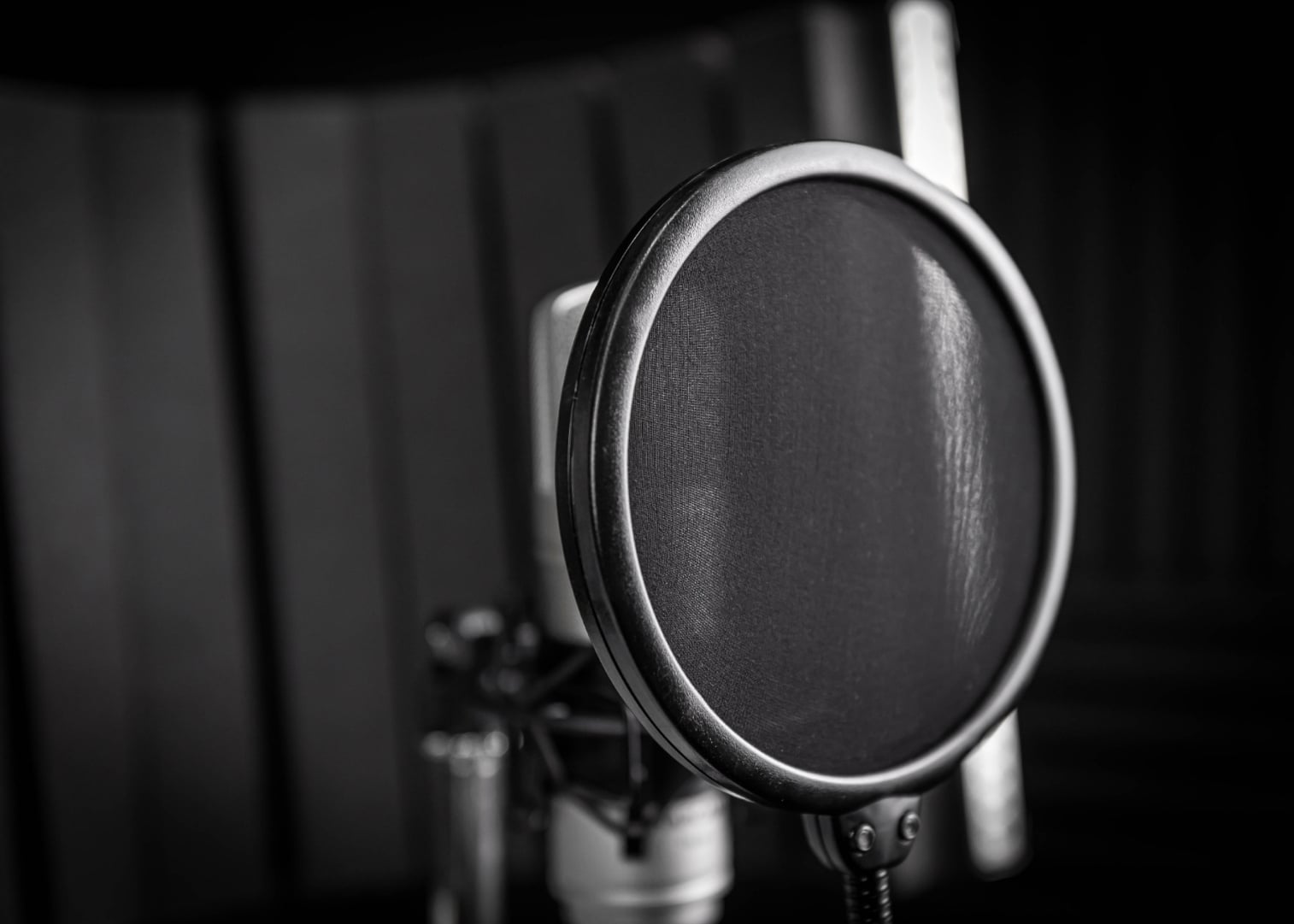 Pop Filter K&M รุ่น 30700 Double Nylon Screen Pop Filter with Standard ...