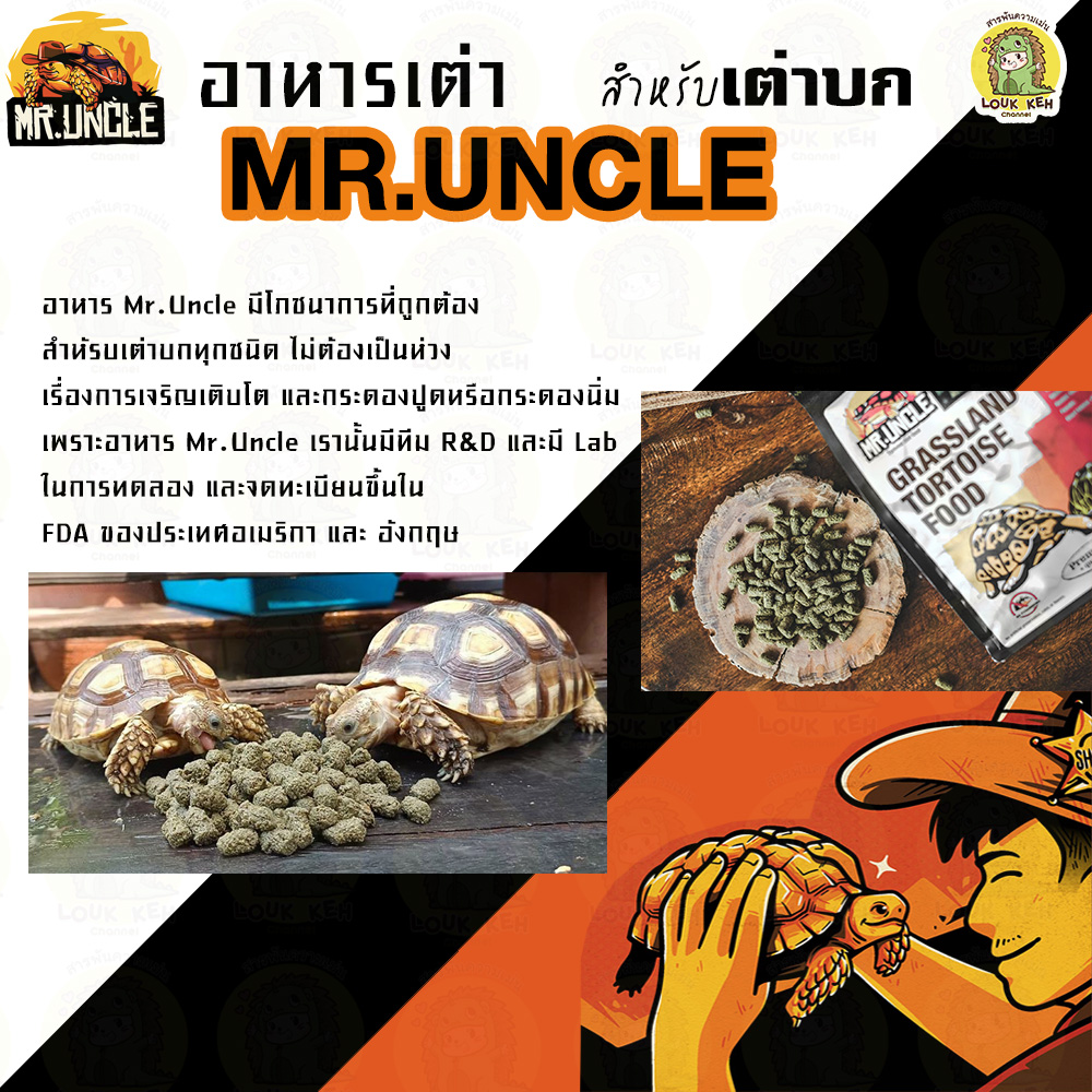 อาหารเต่า Mr.Uncle อาหารสำหรับเต่าบก เต่าซูลคาร์ต้า เต่าเสือดาว เต่าเรด ...