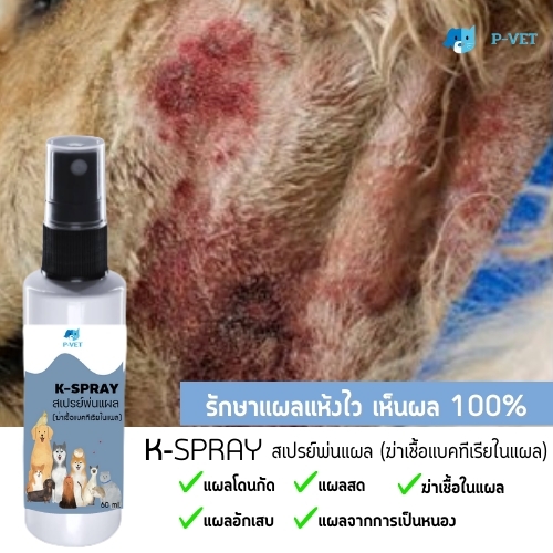สเปรย์พ่นแผล ฆ่าเชื้อแบคทีเรียในแผล K-Spray สเปรย์พ่นผิวหนัง สเปรย์พ่น ...