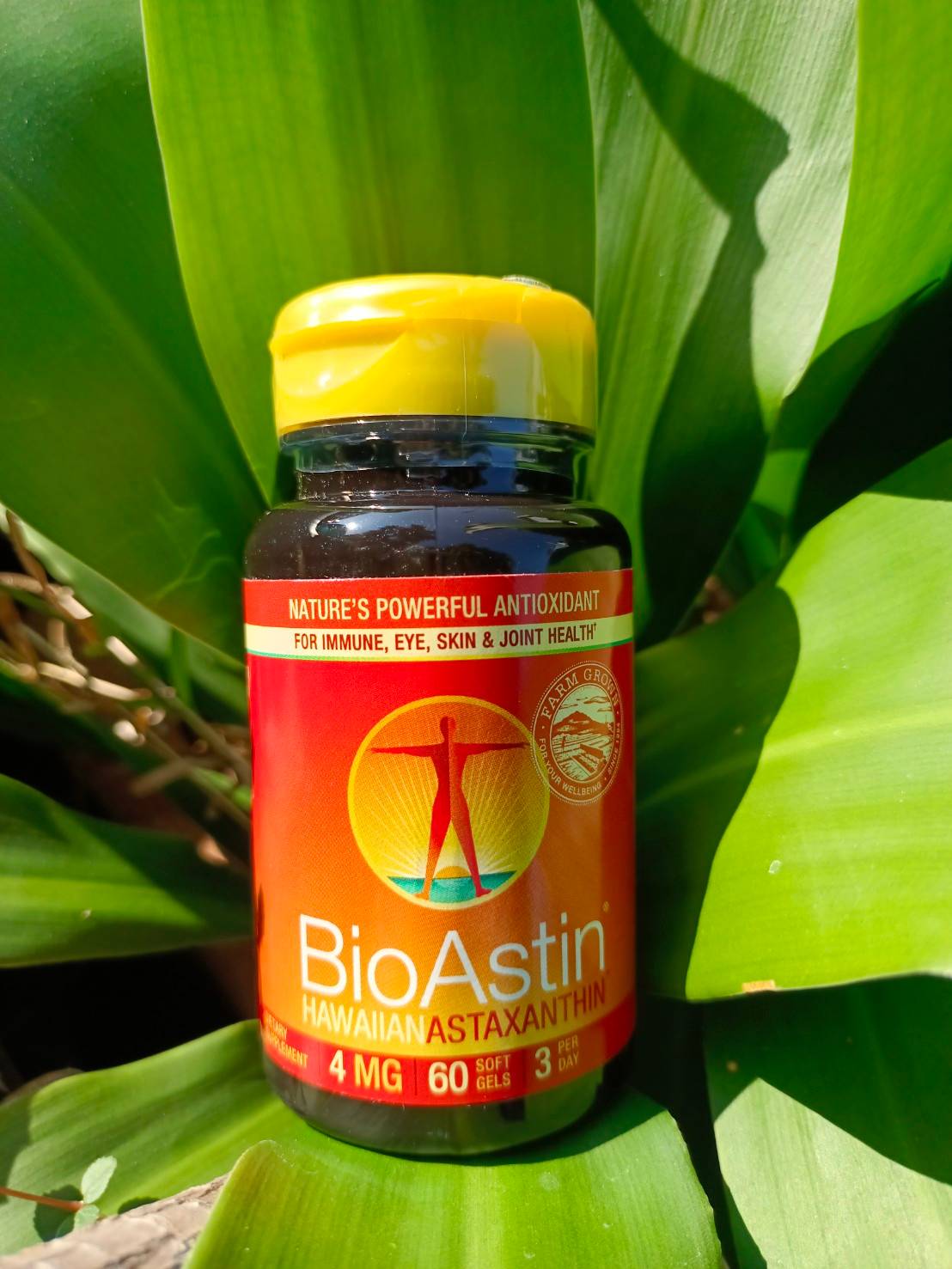 แพคเก็จใหม่ รูป ขวาค่ะ BioAstin ไบโอแอสติน ผลิตภัณฑ์อาหารเสริมสกัดจาก ...