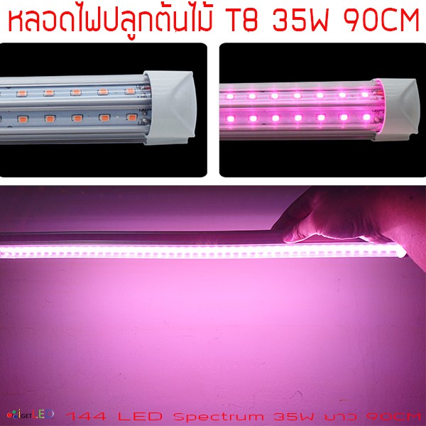 หลอดไฟปลูกต้นไม้ หลอดไฟปลูกพืช LED T8 10W 22W T20 35W 50W Grow Light AC 220V + สายไฟพร้อมสวิทซ์ ...