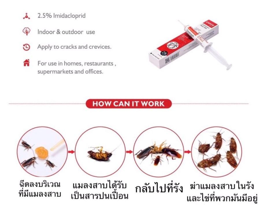 CANYEเจล อาหาร. กำจัด แมลงสาบ Cockroach Kiling Bait Gel ขนาด 10g / 1 ...