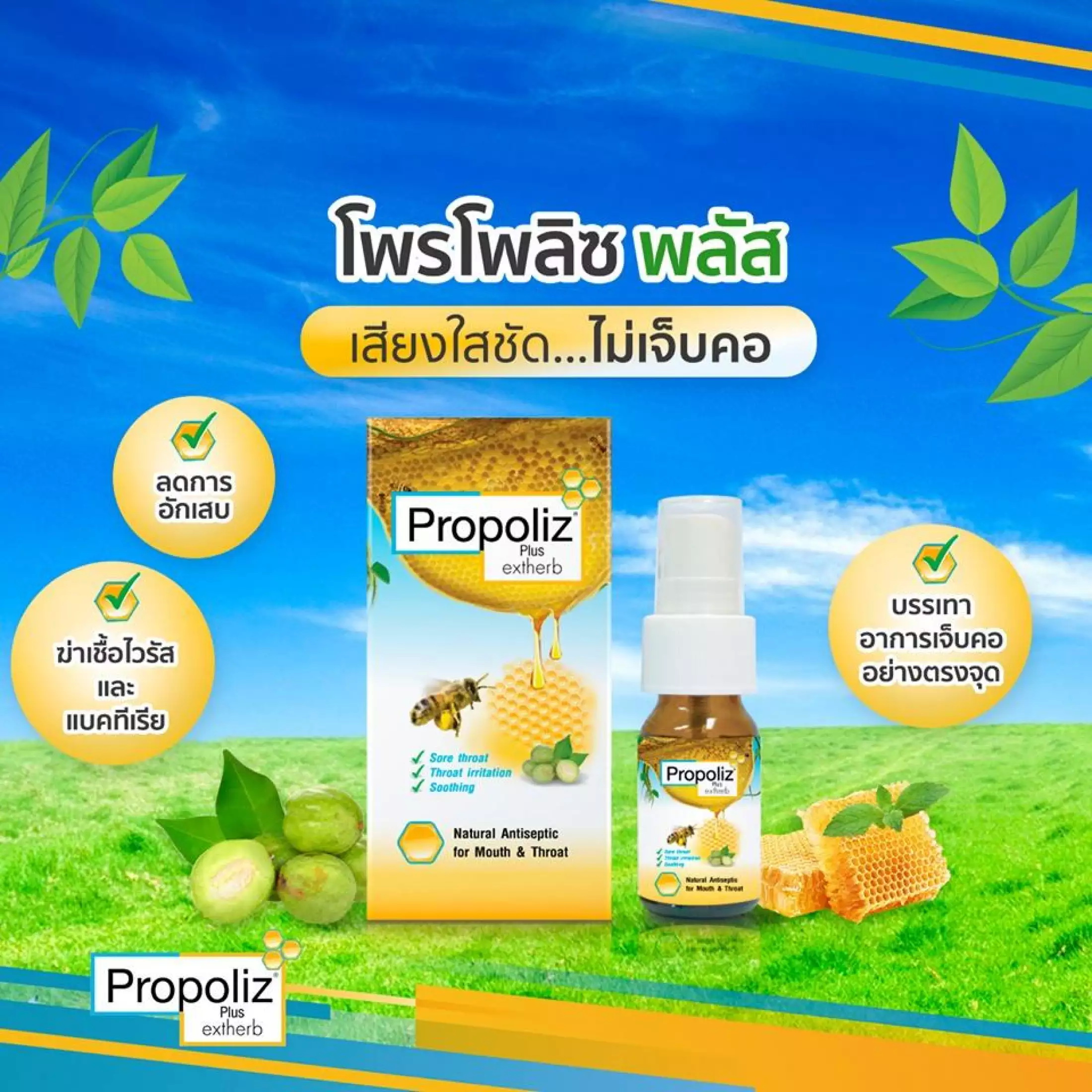 PROPOLIZ Mouth Spray - DrugHouse - ThaiPick
