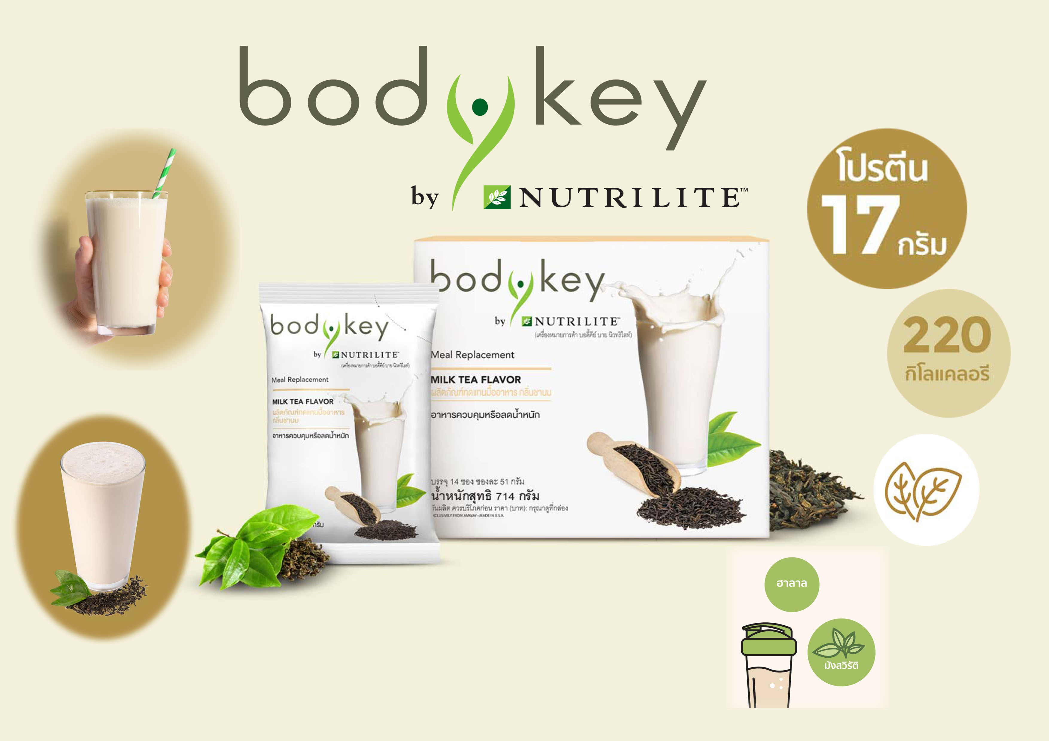 Bodykey by Nutrilite ????ผลิตภัณฑ์ทดแทนมื้ออาหาร รสโกโก้ กาแฟ ชานม ...