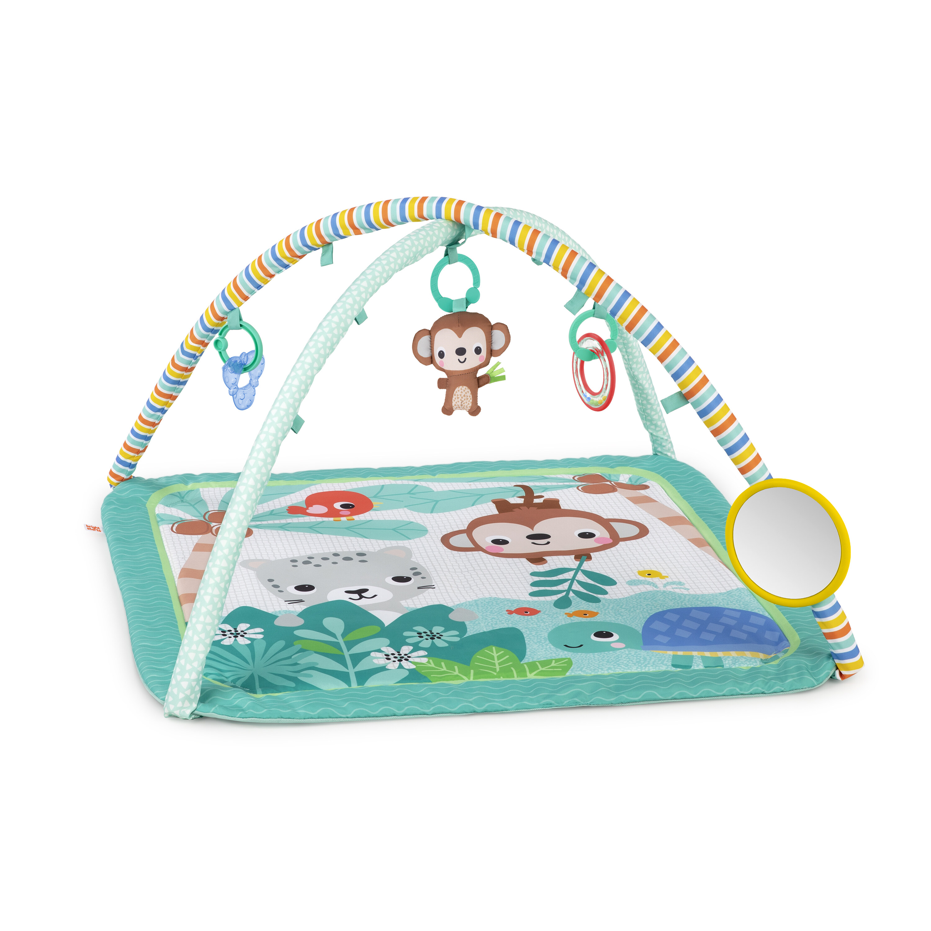 Bright Starts หอยทากกลิ้ง Snail Roller - Baby Basket Shop - ThaiPick