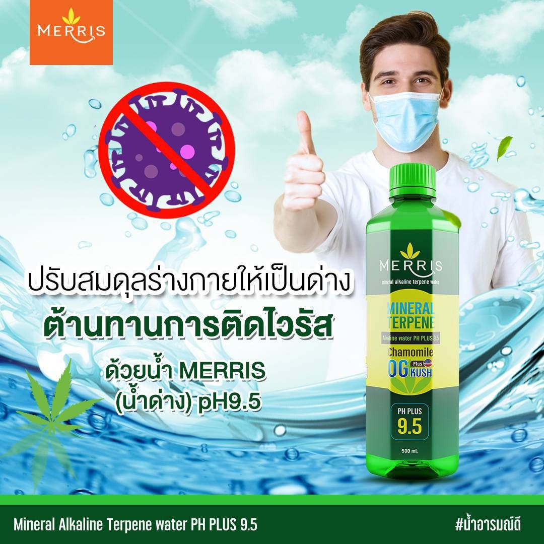 Merris เมอริส เครื่องดื่มน้ำอัลคาไลน์ Alkaline น้ำด่าง pH9.5 1ลัง มี 24 ...