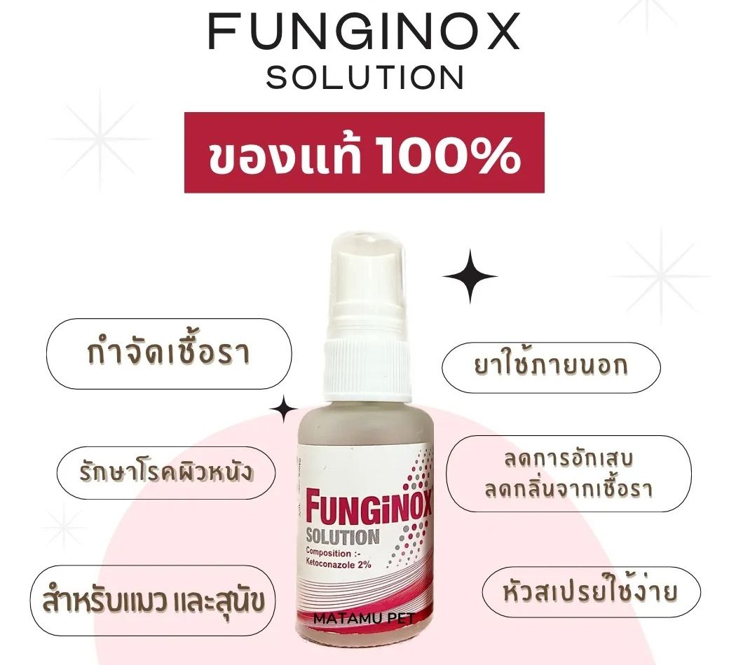 FUNGINOX SOLUTION สเปรย์เชื้อsา กลาn เnลื้อน รังแค คันหนังศรีษะ คัน ...